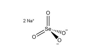 13410-01-0 CAS | SODIUM SELENATE | Inorganic Salts | Article No. 05995
