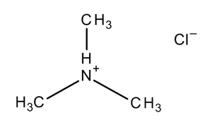 593 81-7 CAS | TRIMETHYLAMINE HYDROCHLORIDE | Amines & Amine Salts ...