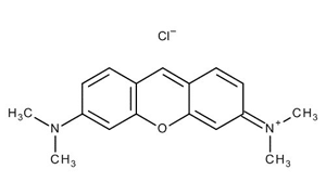 92-32-0 CAS | PYRONIN G | Biological Stains and Dyes | Article No. 05519